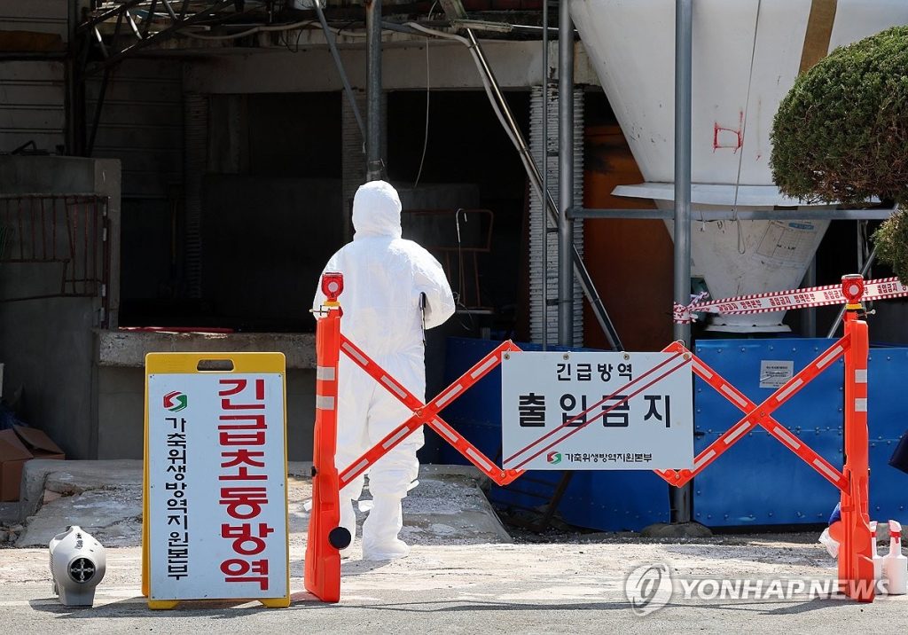 First Foot-and-mouth Disease In 9 Months Confirmed In Incheon | Sarawak ...