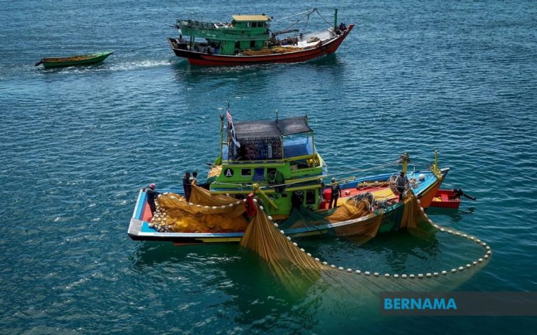 Fish Populations Shrinking As Overfishing Alters Marine Ecosystems ...