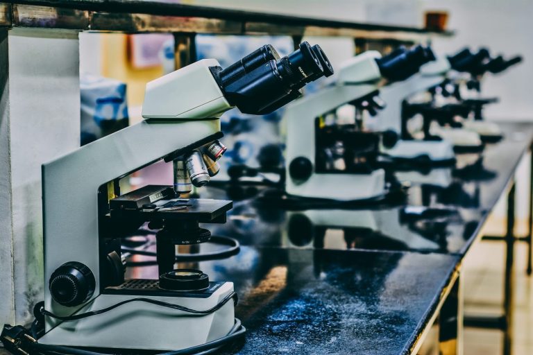 Ovagen Peptide: Exploring Ovarian Signaling And Cellular Coordination ...